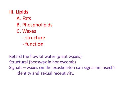 Waxes Structure And Function At Charlie Gladys Blog