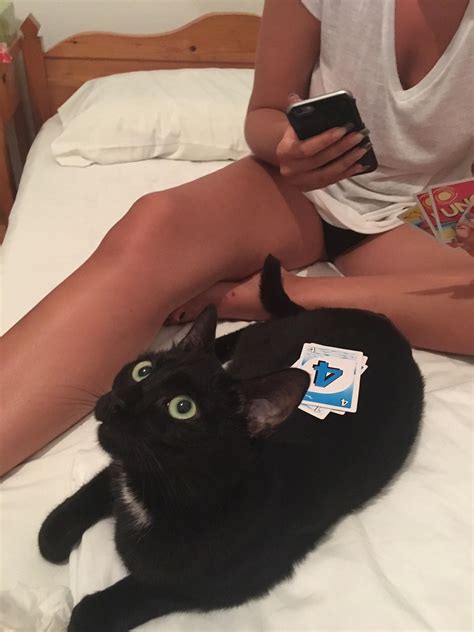 We Needed An Uno Table Rstuffoncats