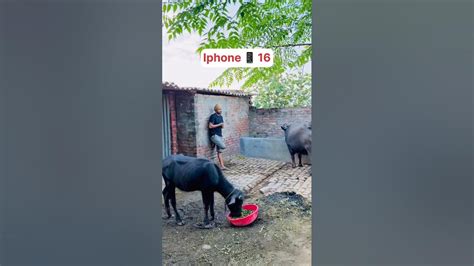Iphone16📱 Le Liya🤣 Iphone16 Comedyvideo Shorts Short Iphone Tange
