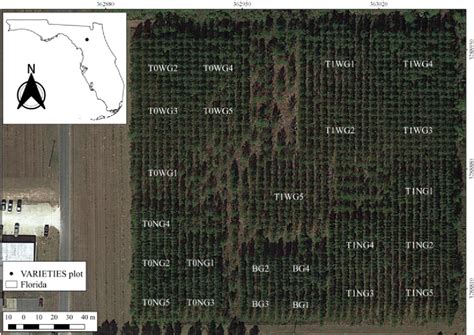 Figure 1 From Moving To Automated Tree Inventory Comparison Of Uas Derived Lidar And