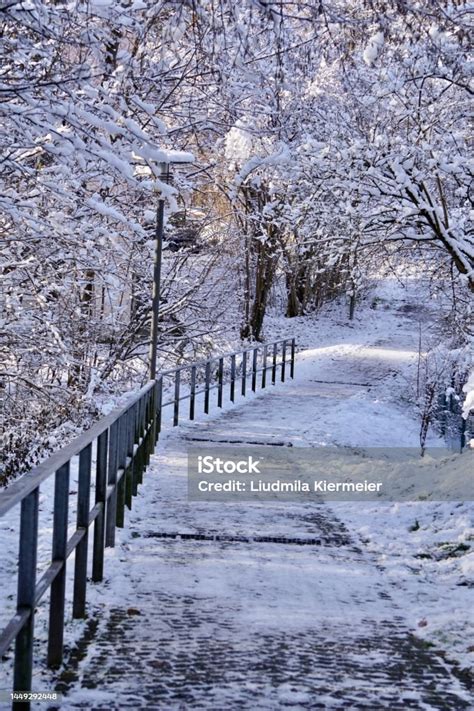 회전하는 겨울의 산책로 눈 아래 공원의 비뚤어진 산책로 공원과 숲을 산책 할 수있는 눈 덮인 길 가리기에 대한 스톡 사진 및 기타 이미지 Istock