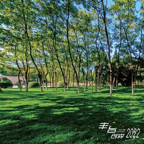 【丰台百园系列】绿堤公园——集生态恢复、湿生植物科普、郊野休闲为一体的公园永定河总面积芦苇荡