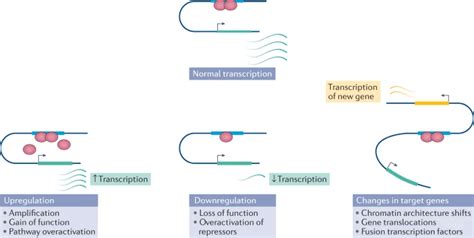 Transcription Related Targets In Drug Discovery Computational