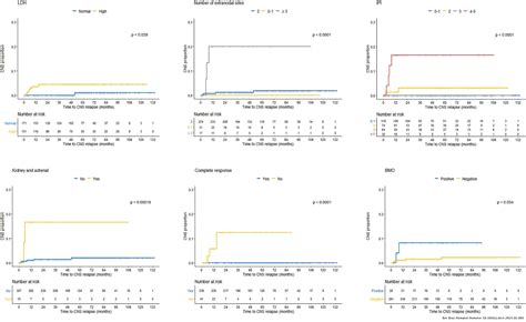 Application Of The Central Nervous System International Prognostic Index Cns Ipi Score In
