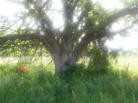 Mello X Reader On Tumblr