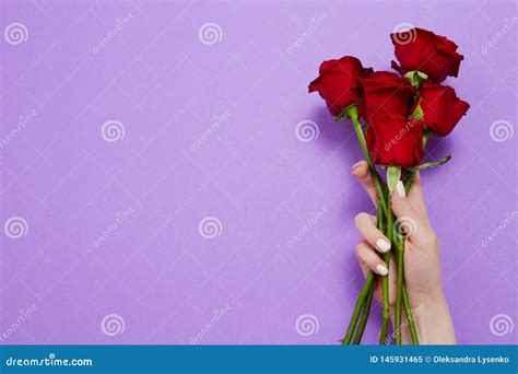 在红色背景的玫瑰 顶视图和嘲笑 母亲和情人节 妇女假日 墙纸和浪漫概念 库存图片 图片 包括有 背包 言情 145931465