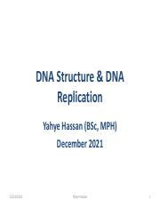 Understanding DNA Structure And Replication A Comprehensive Course Hero
