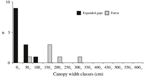 Canopy Width Distribution Of Frangula Adults In Expanded Gaps And