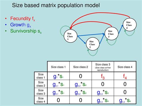 Matrix Population Models Ppt Download