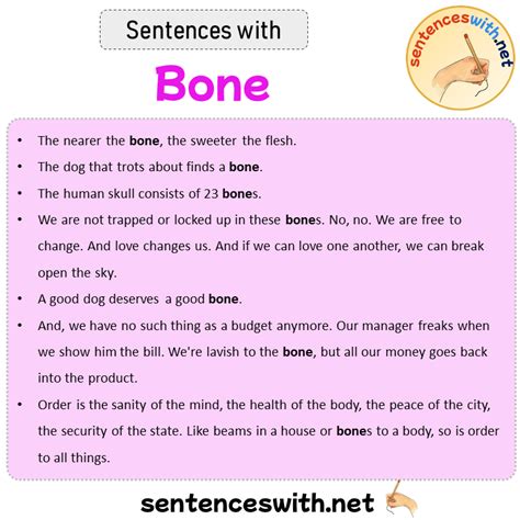 Sentences With Bone Sentences About Bone In English Sentenceswithnet