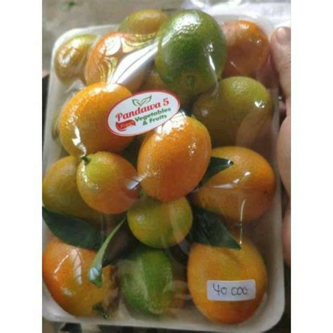Terlaris Promo Bibit Tanaman Buah Jeruk Nagami Jeruk Yg Bisa Di Makan