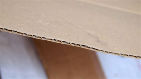 Dali Lomo Cardboard Types