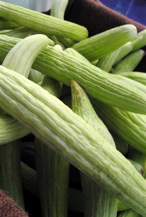 Discover The World Of Cucumbers 6 Varieties And How To Use Them