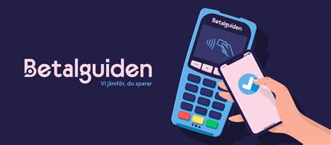 Babs Terminal Betalguiden