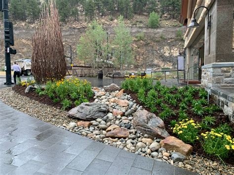 Xeriscaping Native Plants And A Droughttolerant Yard 13 Favourite