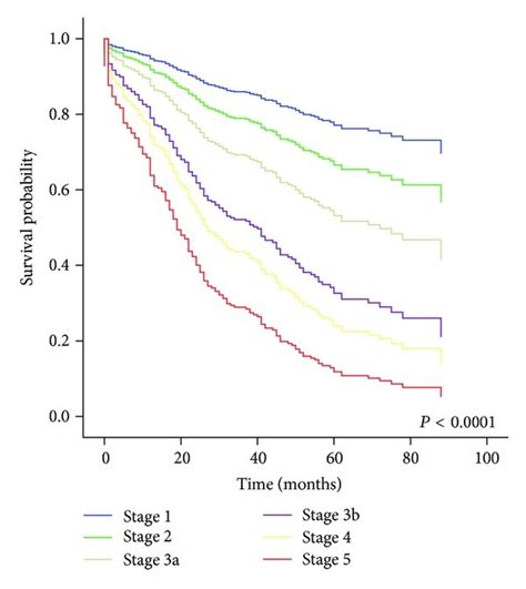 Cox Regression Survival Curve For Doubling Of Serum Creatinine Level