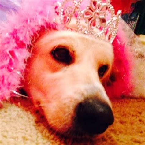 Allison Floyd Youtube