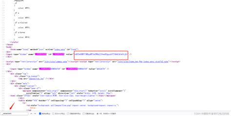 未加密的viewstate参数（中危）viewstate 加密 Csdn博客