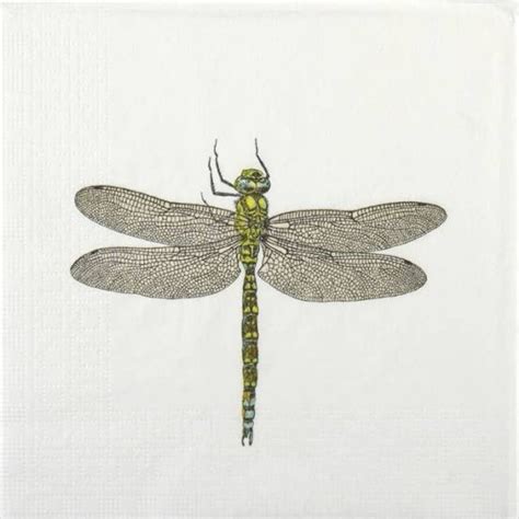 Paper Napkin Nigel Quiney Dragonfly Groove Napkin Shop