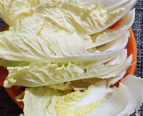 고소하고 맛있는 배추볶음 배추나물 만들기알배추 활용