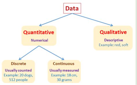 Introduction To Data Flashcards Quizlet