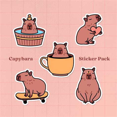 Cute Capybara Sticker Pack Sticker Set With Five Adorable Capybaras Vinyl Stickers Kawaii