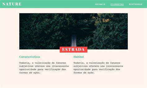 Web Design Uxui Design Html Css Javascript E React Courses And Programs Dfg