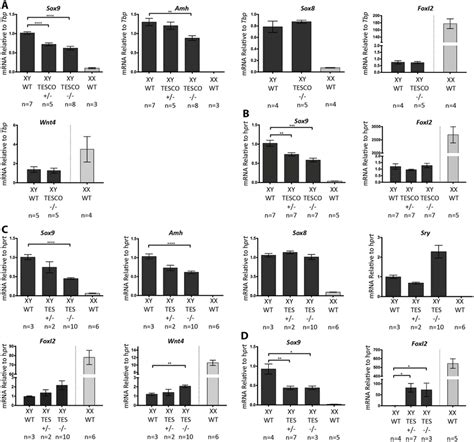 Real Time Quantitative Rt Pcr Of Genes Involved In Male And Female Sex Download Scientific