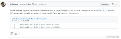 Yolov5 Transformer Github Issue涉及问题c3tr Nan Csdn博客