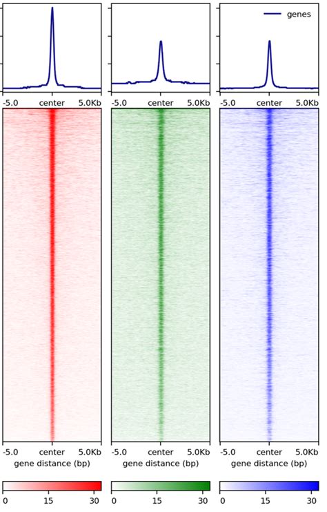 Average Signal And Heatmap Over A Bed File — Hemtools Latest Documentation