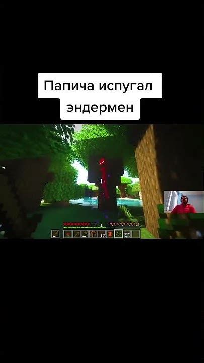 папич испугался эндермена Youtube