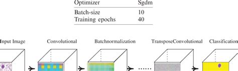 Training Parameters Of The Segmentation Model Download Scientific Diagram