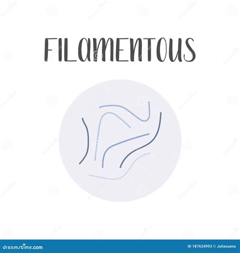 Types Of Filamentous Bacteria