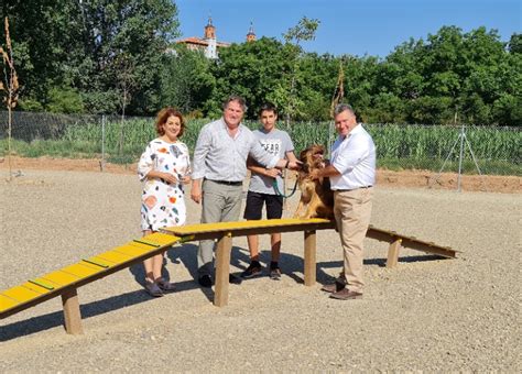 A Licitación El Servicio De Recogida De Animales En Teruel Eco De Teruel