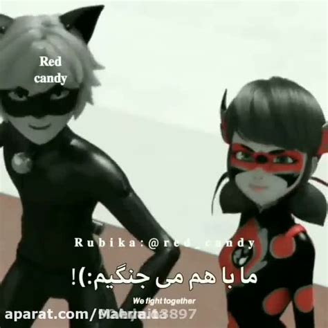 کلیپ فوق العاده زیبا از لیدی باگ و کت نوار ترندباشی تماشا