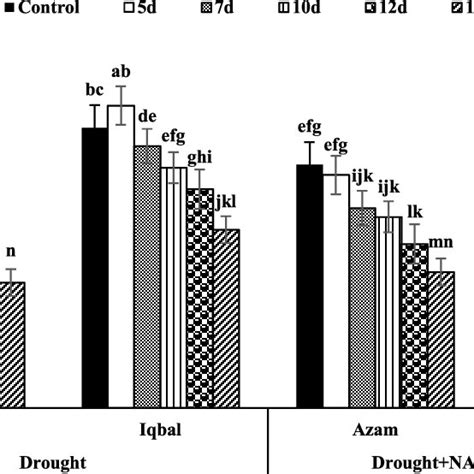 Impact Of Naa Foliar Application On Total Chlorophyll Content Under