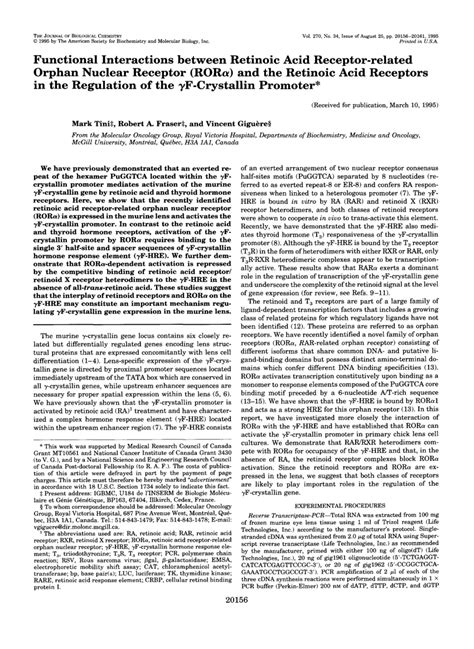 Pdf Functional Interactions Between Retinoic Acid Receptor Related