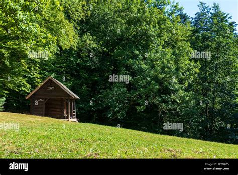Traumhaftes Teen Beim Selfmade Telegraph