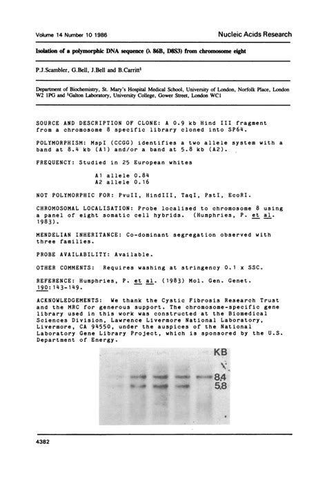 Pdf Isolation Of A Polymorphic Dna Sequence Lambda 86b D8s3 From Chromosome Eight