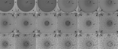 Bringing Back Depleted Uranium Experiments At Prad Lanl