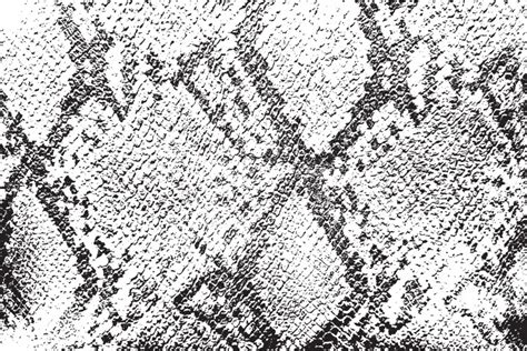 Snake Python Skin Texture Seamless Pattern Black Vector Image