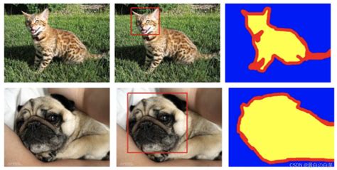 Unet案例unet图像分割网络案例 Csdn博客