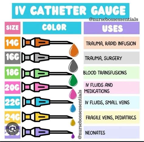 Pin By Ashleigh Ivey On Nursing School Medical School Stuff Medical