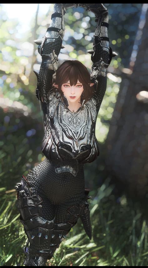 Looking For This Armor Request And Find Skyrim Special Edition