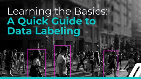 Learning The Basics A Quick Guide To Data Labeling