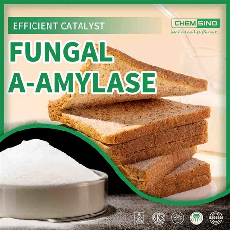 Food Additive Chemical Alpha Amylase Enzyme At Low Price China Fungal