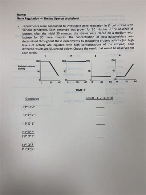Solved Genetics 102 Worksheet 7 Please Use The Loc Operon