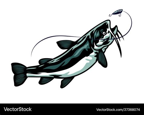 Catfish Chasing Fishing Lure Royalty Free Vector Image