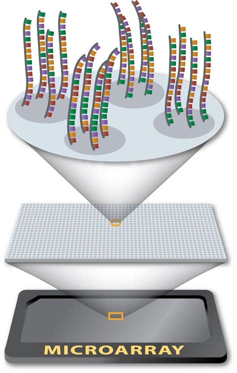 Amazing Dna Microarray Simulation Rmcat