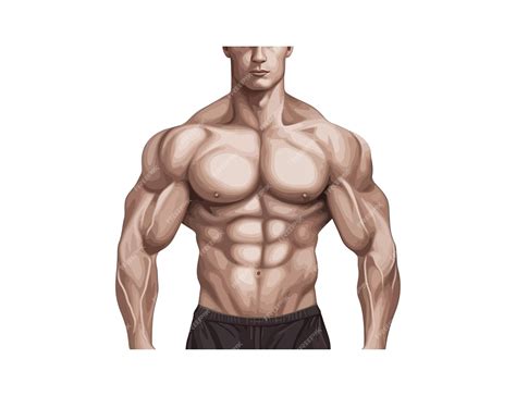 Premium Vector Muscular Man Torso Fitness Vector Illustration Design